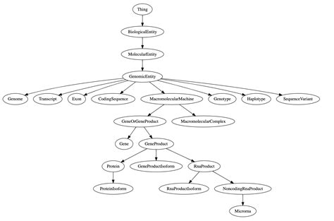 Github Biothingsbiothingsschemapy Python Package To View And