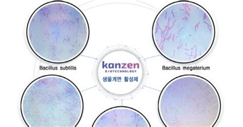 환경오염 걱정없는 바이오 천연계면활성제 균주 찾았다