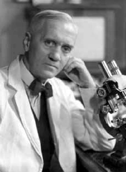 Figure 11 From The Crystal Structure Of A Bacterial Lysozyme At Atomic