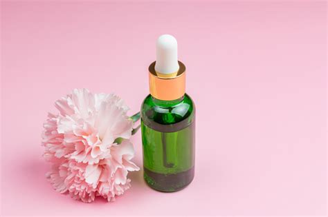 분홍색 배경에 카네이션 꽃이 있는 화장품 병에 비타민 C 세럼 감귤류 에센셜 오일 화장품 아로마테라피 허브 성분을 사용한 유기농
