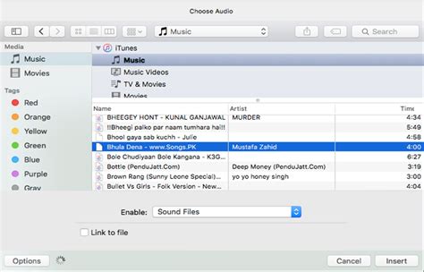 commonly used objects in microsoft powerpoint