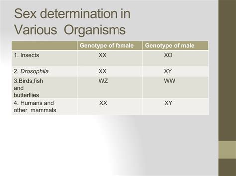 Sex Determinationpptx