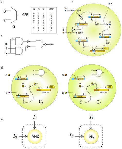 Standard And Non Standard Circuit Design Combinatorial Circuits Are