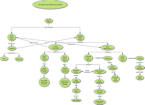 Nervous System Concept Map
