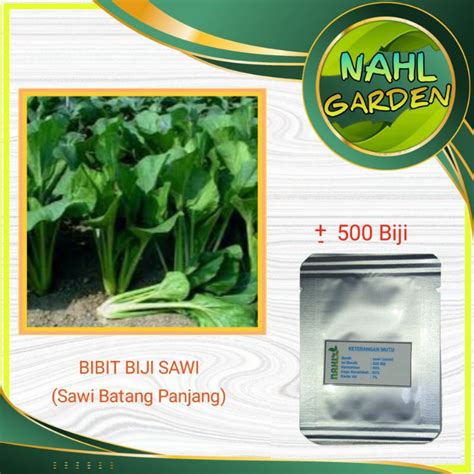 Jual Benih Bibit Biji Sawi Cesim Sawi Batang Panjang Shopee Indonesia