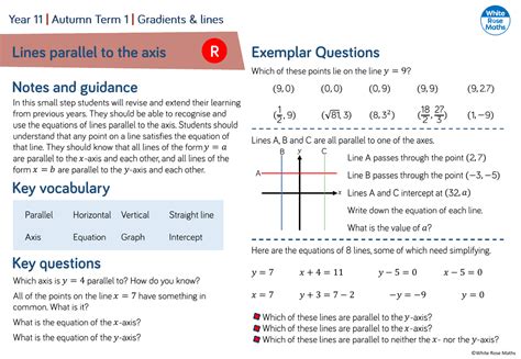 lines parallel to the axis questions maths