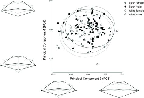Principal Component Pc Analysis Identifying The Next Greatest