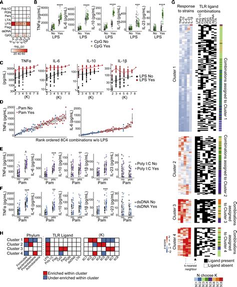 Human Gut Microbiota Stimulate Defined Innate Immune Responses That