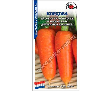 Морковь столовая Кордоба F1 0.3г (Золотая сотка Алтая) купить в ...
