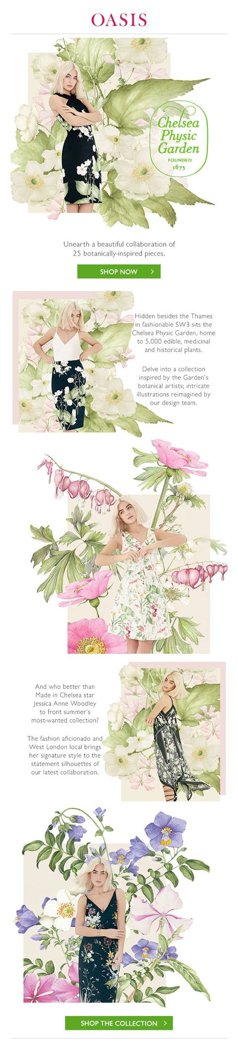 Web Weblayout Website Newsletter Email Flower Floral Summer