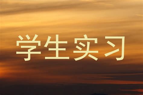 天津职业大学顶岗实习系统 实习管理系统 智慧校园