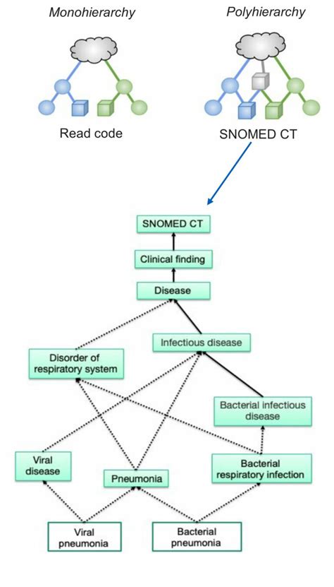 nhs england clinical coding snomed ct
