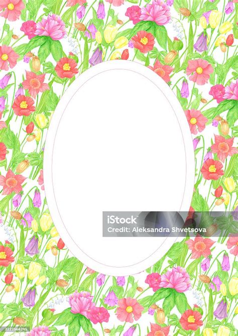 손으로 그린 수채화 야생화와 잎 엽서 화환 프레임 테두리 벽지 흰색 배경에 고립 된 필드의 꽃입니다 엽서 초대장 스크랩북 및 기타 인쇄 제품에 사용할 수 있습니다 0명에