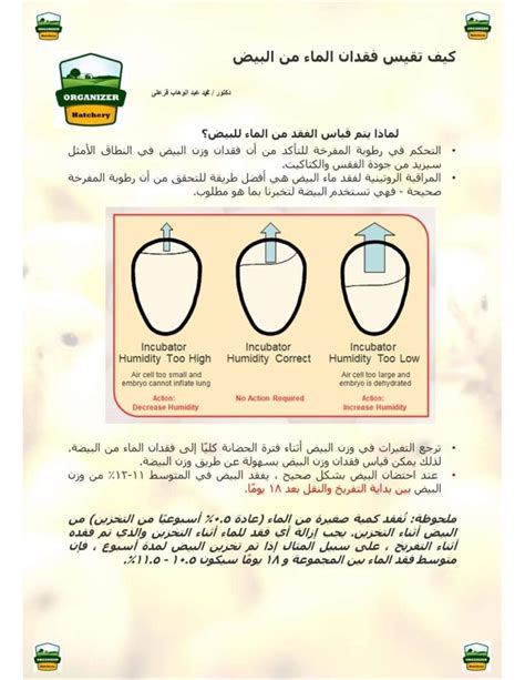 Adel Osman Posted On Linkedin