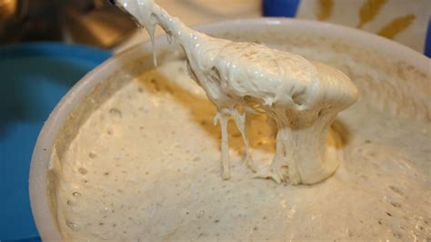 Përse Fryhet Brumi I Bukës Kur E Përgatisim Me Maja Agroweb