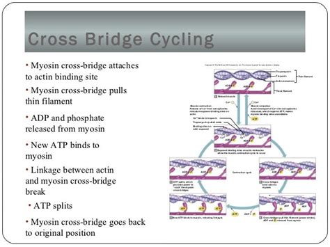 chapt09 holes lecture animation[1]