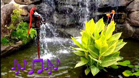 작은 폭포 소리 마음이 편안해지는 물소리 Asmr 자연의 소리 Youtube