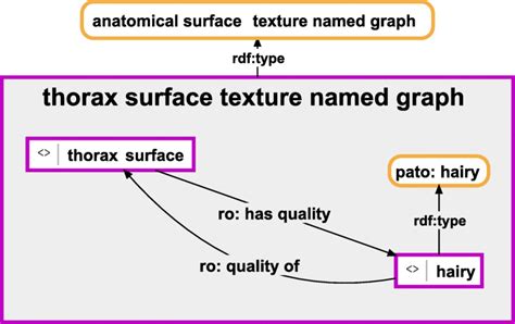 Instance Based Semantic Graph Of A Quality Specification Of An Download Scientific Diagram