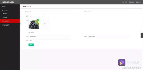 Java计算机毕业设计电商项目管理系统（附源码springboot开题论文部署）java技术和springboot框架在电子商务系统开发中的应用外文文献 Csdn博客
