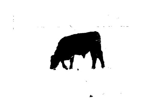 Parameter Learning For Image Segmentation The Figure Illustrates The