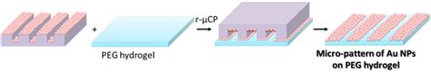Schematic View Of Reactive Micro Contact Printing R μcp Process Of Au Download Scientific