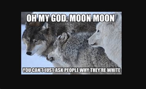 Moon Moon Meme — The Viral Meme On Twitter Brunchvirals