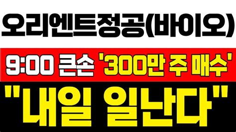 오리엔트정공 오리엔트바이오 주가전망 미노출 900 큰손 300만 주 매수에 아랫꼬리 양봉 출현 선거 일정에 따라 재차 시세 폭발한다 목표가 확인 대응필수