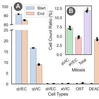 Cell Count Statistics From Six Simulation Runs With Different Random Download Scientific