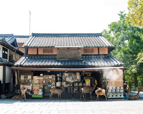 松浦火力発電所 九州電力株式会社 Nihonmono