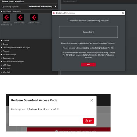 no valid license found the program will quit now please help