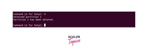 How To Delete Linux Partition Scaler Topics