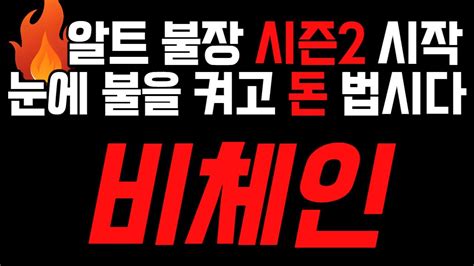 비체인 코인 역대급 불장에서 수익 싹쓸이하자 비체인코인비체인코인전망 Youtube