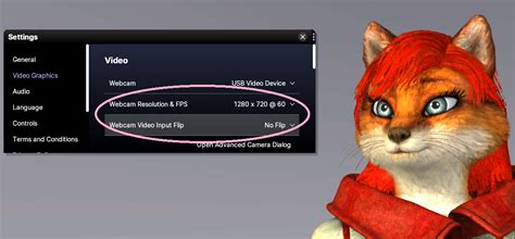 Animaze Faq Learn How To Use Animaze By Facerig