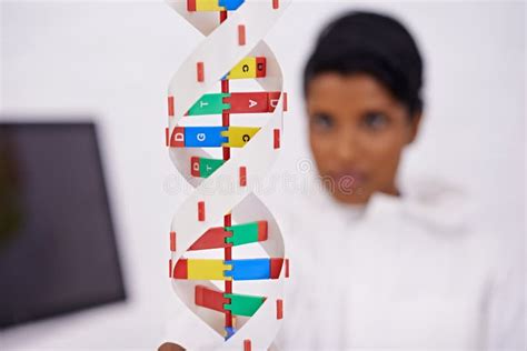 Dna Model Person Or Lab As Science Research Or Medical Innovation By