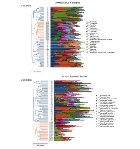 The Left Side Of The Figure Shows Clustering Result Of The Samples Download Scientific