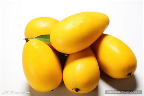 芒果 摄影图 水果 生物世界 摄影图库 昵图网