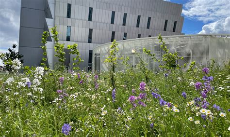 The Future Is Vertical Urban Design Trends In High Density Living