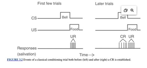 Chapter 3 Classical Conditioning Learning Principles And Applications