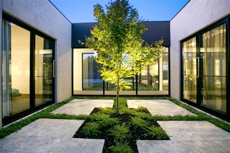 A Tree In The Middle Of A Courtyard With Glass Doors And Windows On