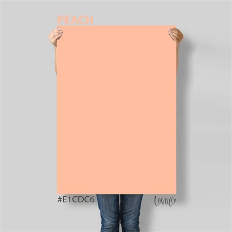Peach Solid Background