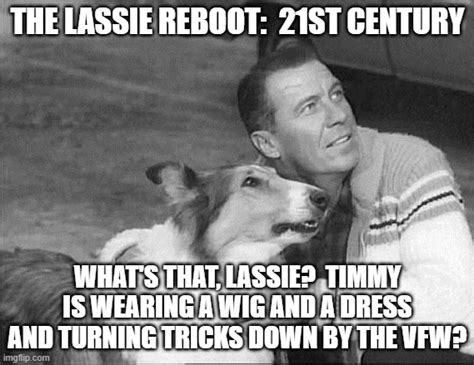 Lassie Memes 14 Funny Collie Memes That Will Make Your Day