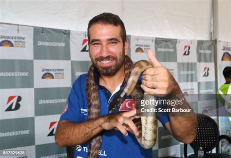 Black Headed Python Photos And Premium High Res Pictures Getty Images