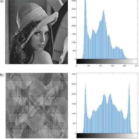 a plain image and its histogram b results obtained after the flipping