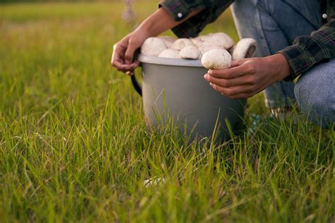 Capture And Share Product Expiration Date