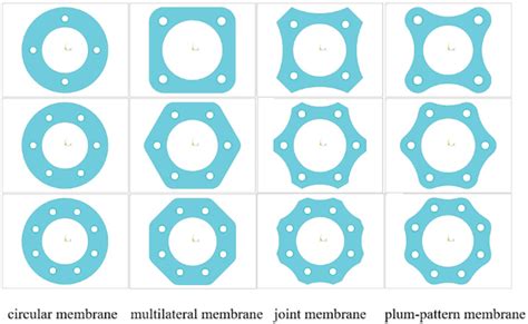 Schematic Diagram Of Geometrical Model Of Membranes Download