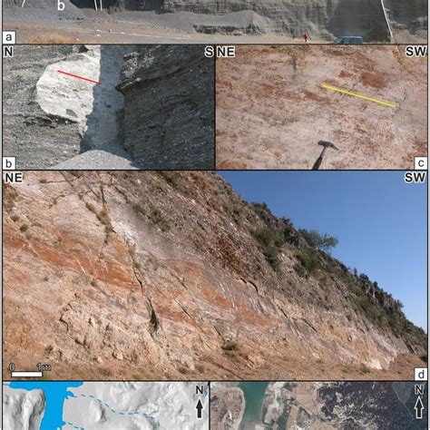 A Miocene Conglomerates And Strike Slip Faults Yellow Lines Indicate Download Scientific