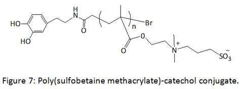Recent Trends In Mussel Inspired Catechol Containing Polymers A Review
