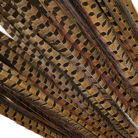 Pheasant Feathers By Zucker Feather Products Inc