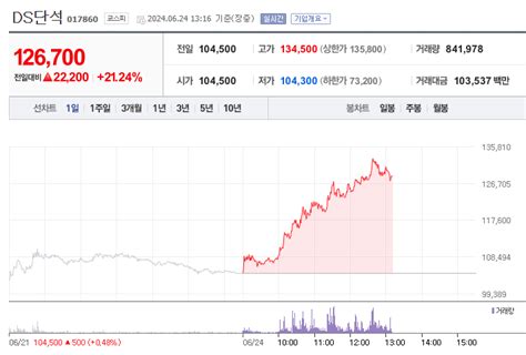 Ds단석 주가 분석