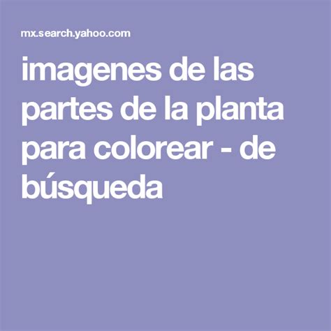 Imagenes De Las Partes De La Planta Para Colorear De Búsqueda